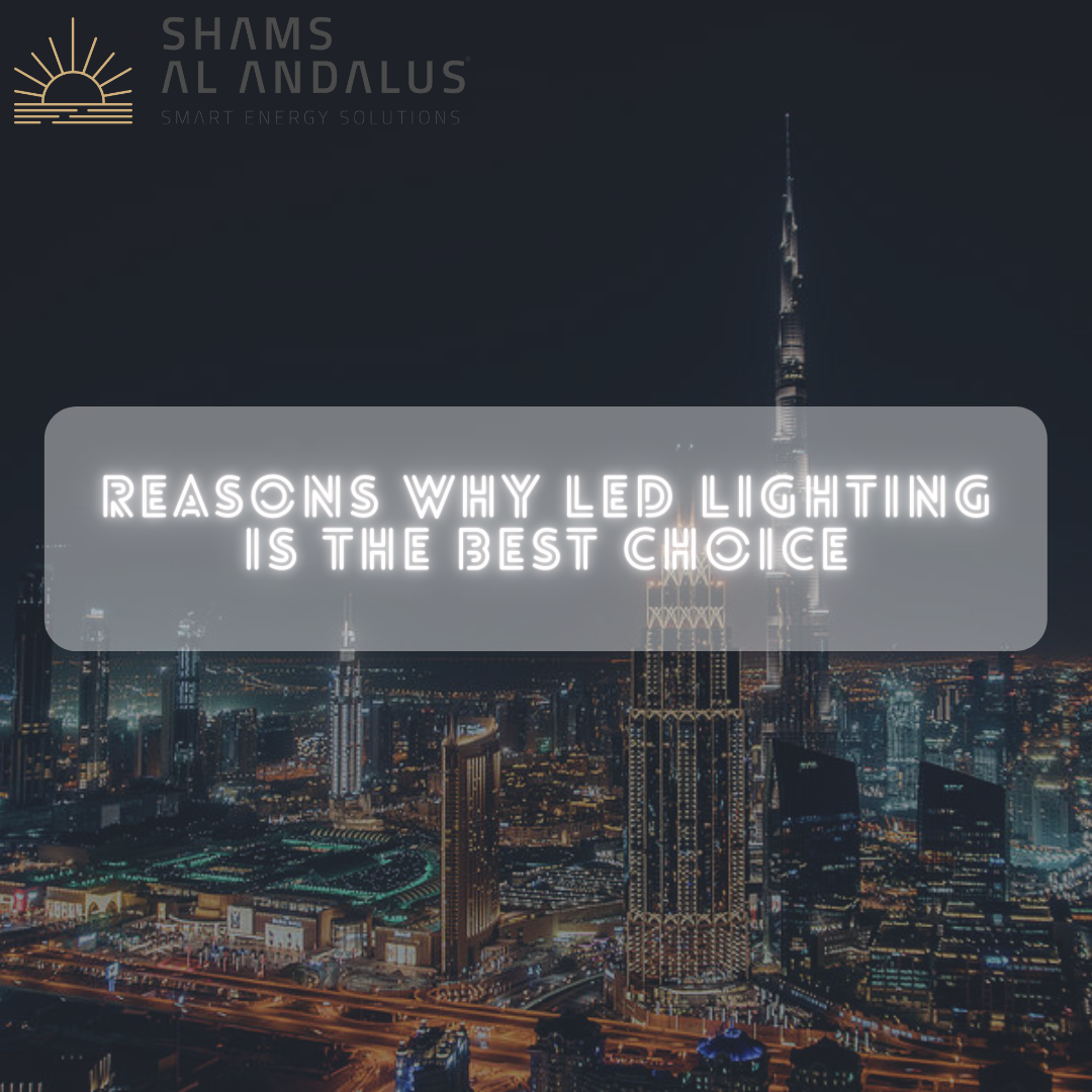 Portfolio – My Website